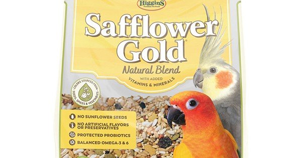 Higgins Safflower Gold Conure and Cockatiel - 119487